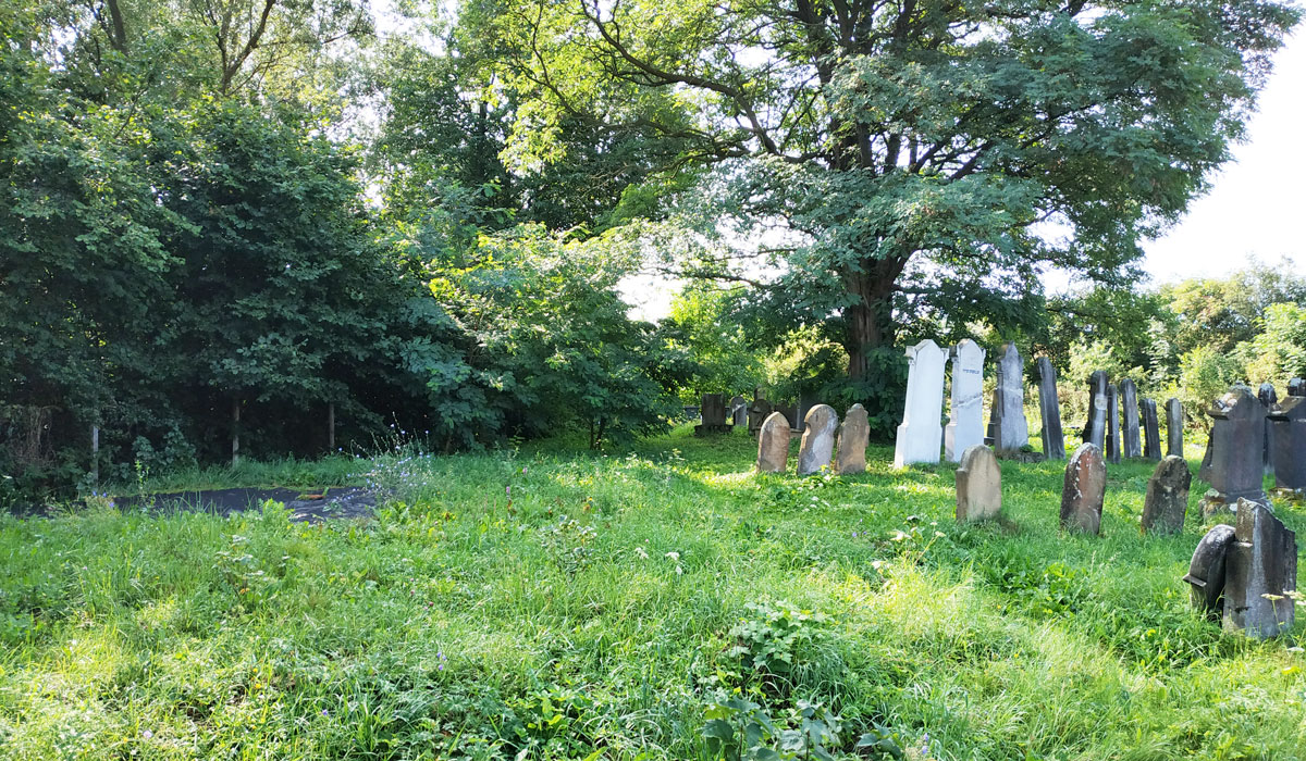 Siroke Jewish Cemetery - ESJF surveys