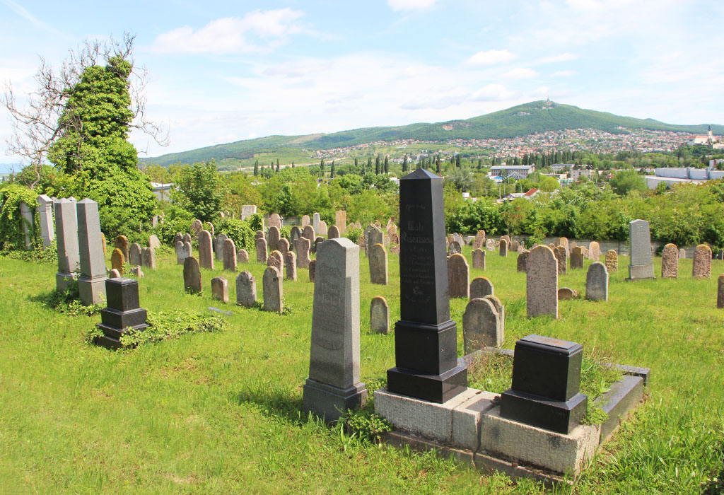 Nitra Neolog Jewish Cemetery - ESJF surveys